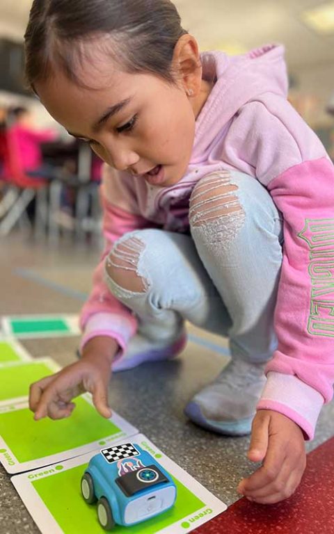 What's the Difference Between TK and Kindergarten? | Alameda Elementary