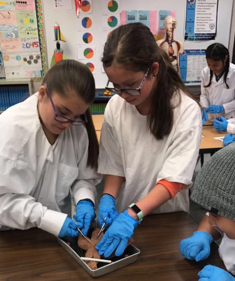 Department Science | Griffiths